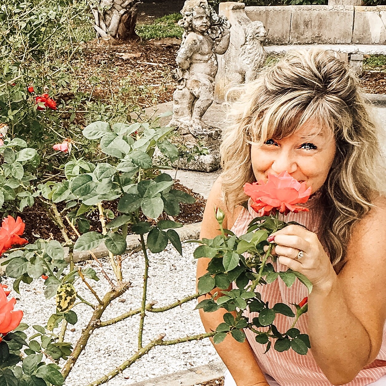 About - THE JENNY WREN